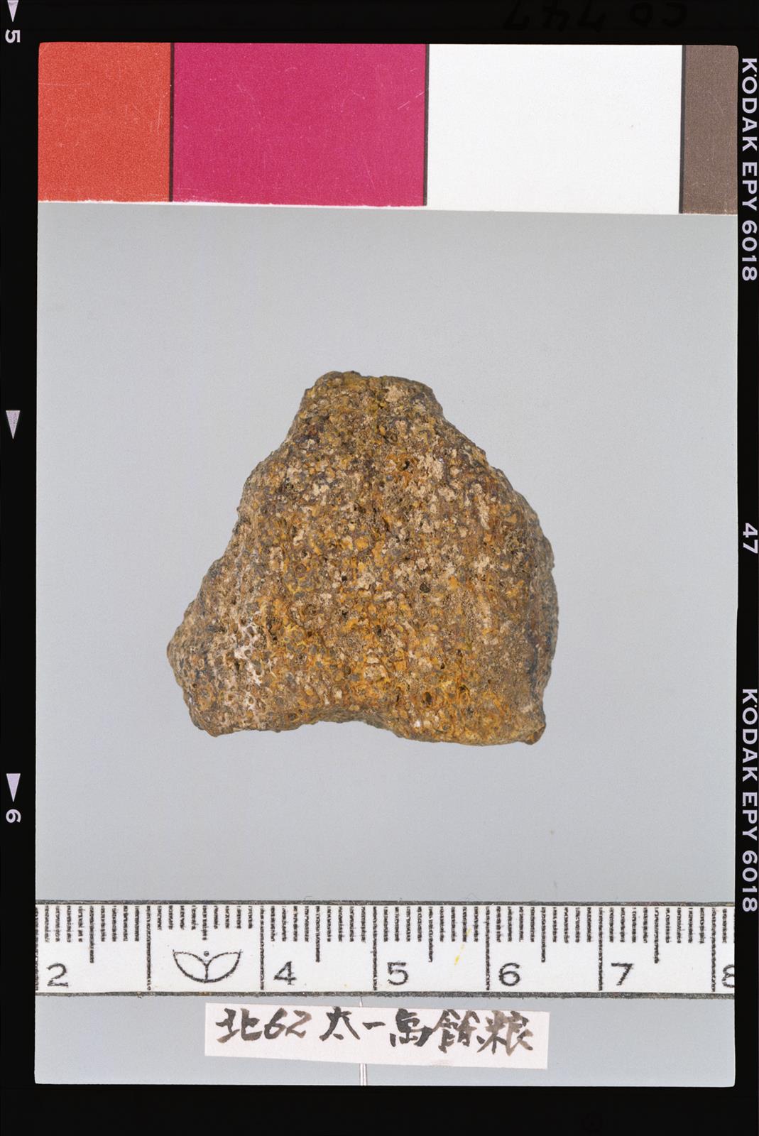 正倉院 - 正倉院